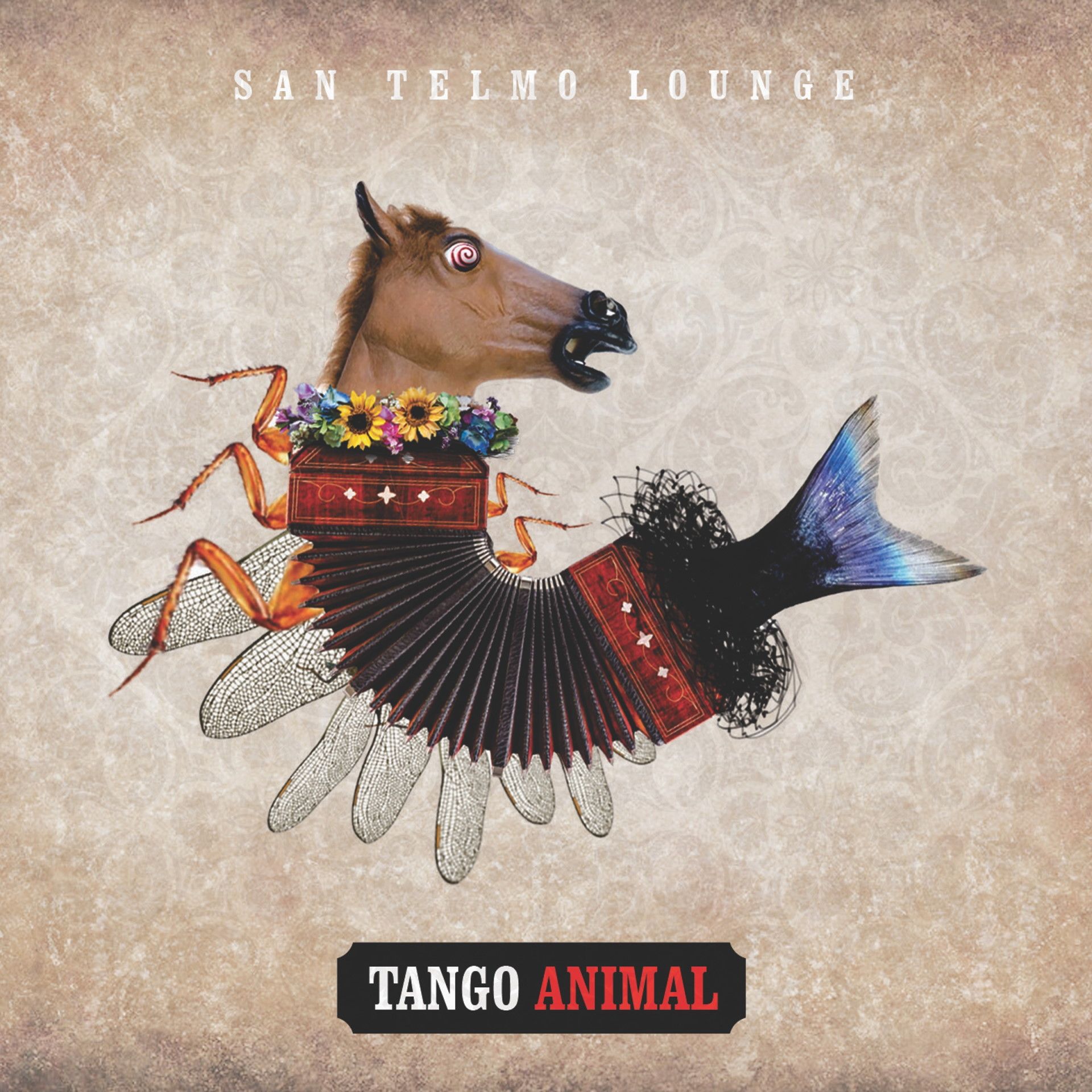 First impressions: Tango Animal by San Telmo Lounge | Tango Is Alive!